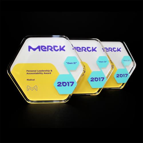 Current Projects | Jacksons Awards | Custom Award Designs